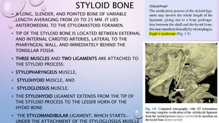 Anatomy of middle ear | PPTX