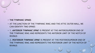 Anatomy of middle ear | PPTX