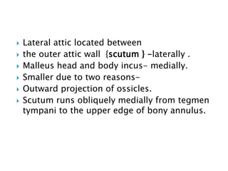 Anatomy of middle ear | PPTX