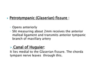 Anatomy of middle ear | PPTX
