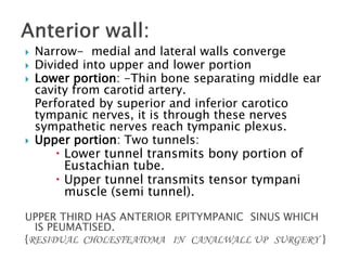 Anatomy of middle ear | PPTX