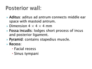 Anatomy of middle ear | PPTX