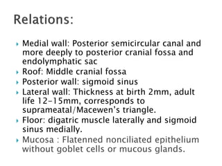 Anatomy of middle ear | PPTX