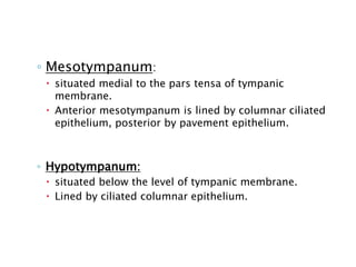 Anatomy of middle ear | PPT