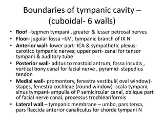 Anatomy of Middle Ear.pptx