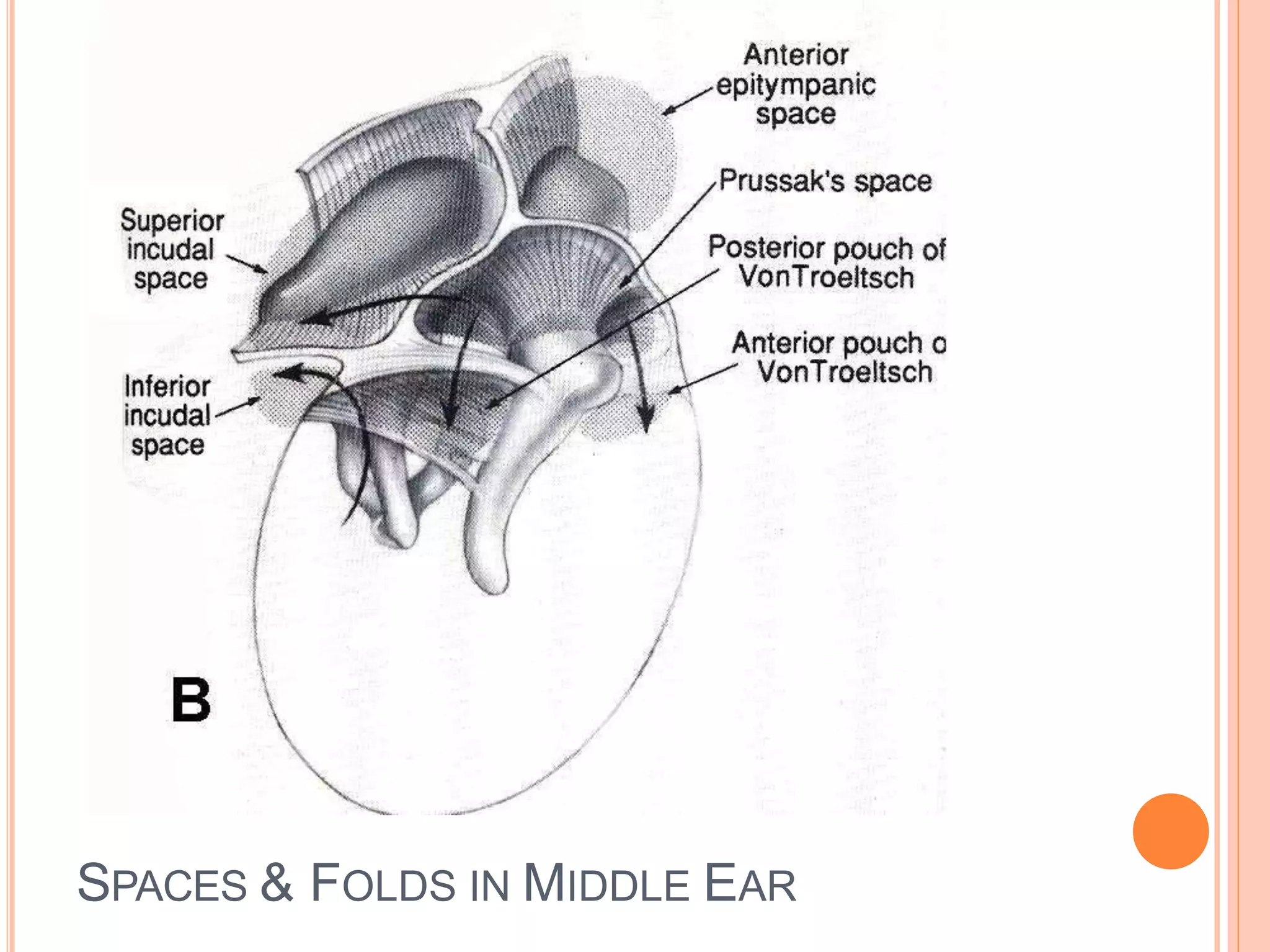 anatomy of middle ear.pptx