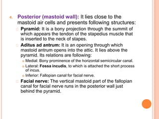anatomy of middle ear.pptx