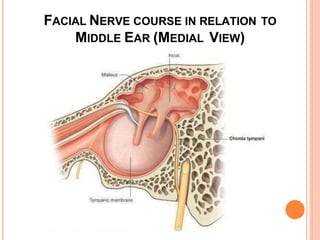 anatomy of middle ear.pptx