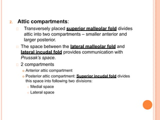 anatomy of middle ear.pptx