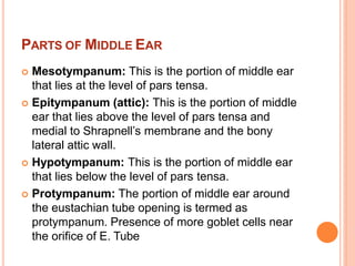 anatomy of middle ear.pptx