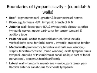 The Gross Anatomy of external and Middle ear Middle Ear | PPTX | Ear ...