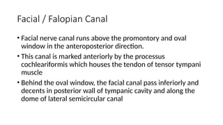 ANATOMY OF MIDDLE EAR-Sibi.pptx a brief look into it | PPT