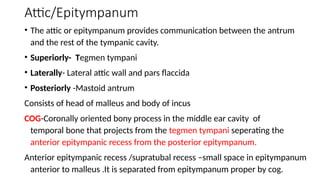 ANATOMY OF MIDDLE EAR-Sibi.pptx a brief look into it | PPTX