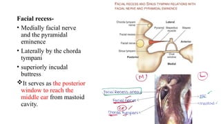 ANATOMY OF MIDDLE EAR-Sibi.pptx a brief look into it | PPT