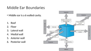 ANATOMY OF MIDDLE EAR-Sibi.pptx a brief look into it | PPTX