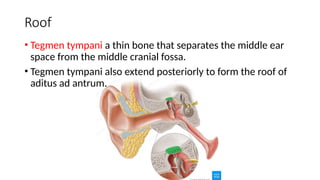 ANATOMY OF MIDDLE EAR-Sibi.pptx a brief look into it | PPT