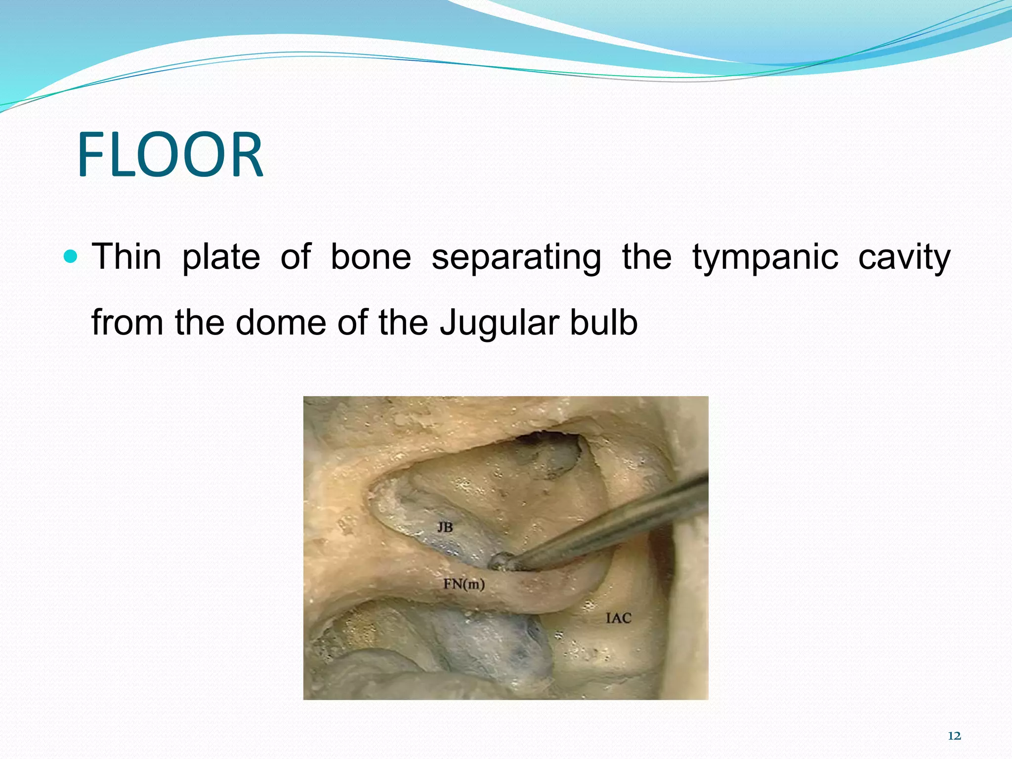 Anatomy of middle ear and its radiological correlation | PPTX