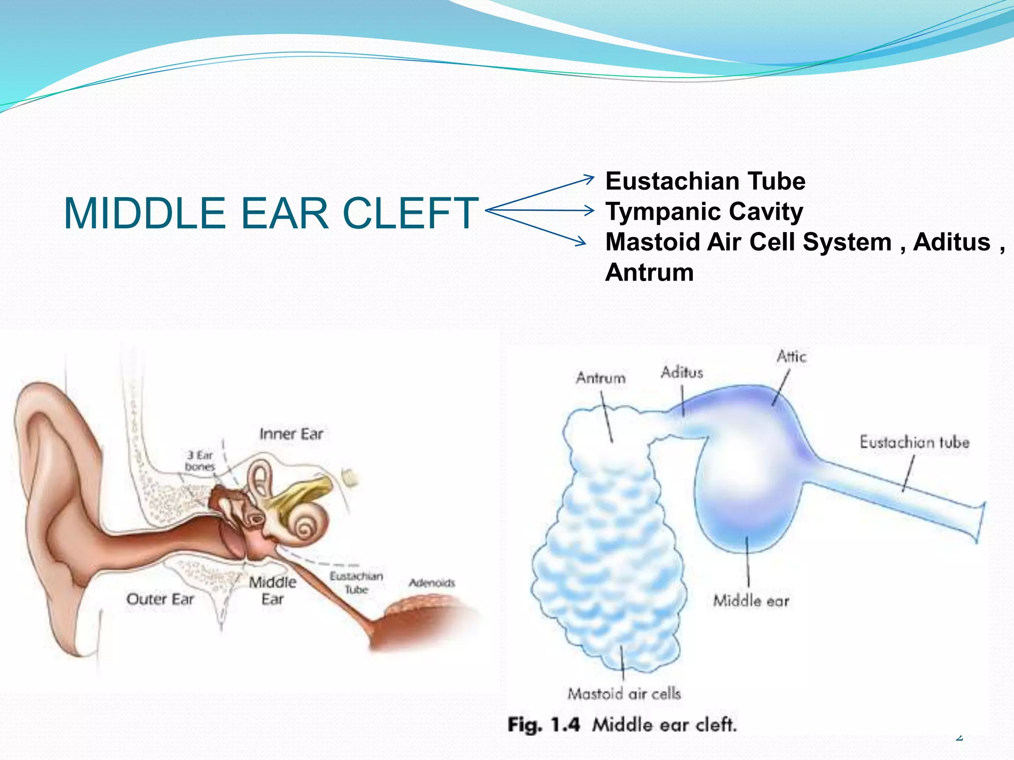 Anatomy of middle ear and its radiological correlation | PPTX