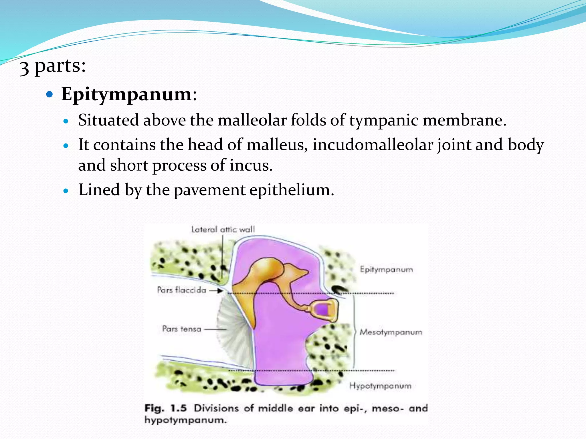 Anatomy of middle ear and its radiological correlation | PPTX