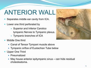 Anatomy of middle ear and its radiological correlation | PPTX