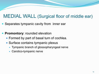 Anatomy of middle ear and its radiological correlation | PPTX