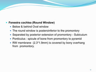 Anatomy of middle ear and its radiological correlation | PPTX