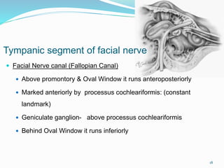 Anatomy of middle ear and its radiological correlation | PPTX