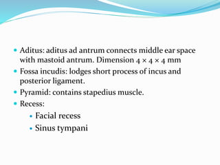 Anatomy of middle ear and its radiological correlation | PPTX