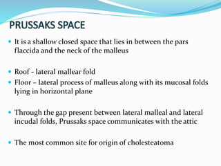 Anatomy of middle ear and its radiological correlation | PPTX
