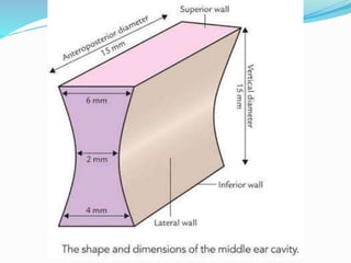 Anatomy of middle ear and its radiological correlation | PPTX