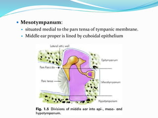 Anatomy of middle ear and its radiological correlation | PPTX