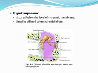 Anatomy of middle ear and its radiological correlation | PPTX