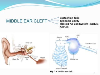 Anatomy of middle ear and its radiological correlation | PPT