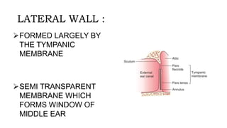 ANATOMY OF MIDDLE EAR BY DINESH V.pptx