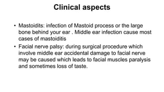 ANATOMY OF MIDDLE EAR BY DINESH V.pptx