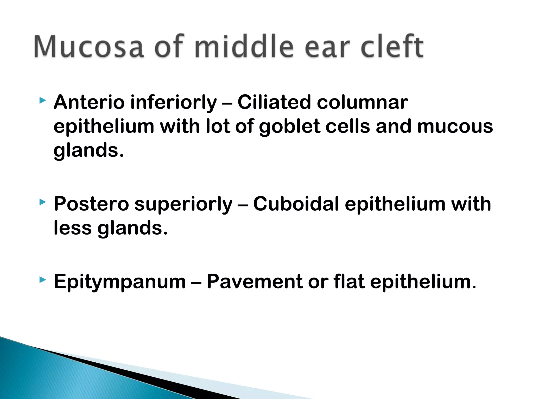 Anatomy of middle ear cleft microteaching, 06.03.17, dr.pk