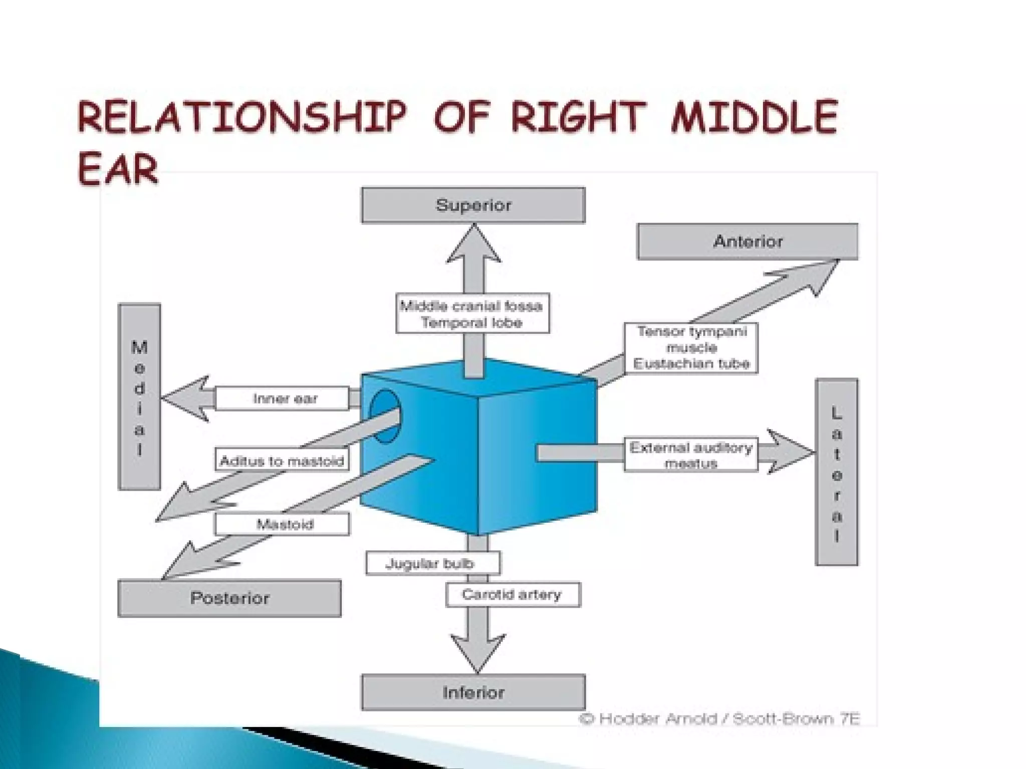 Anatomy of middle ear cleft microteaching, 06.03.17, dr.pk
