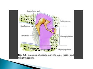 Anatomy of middle ear cleft microteaching, 06.03.17, dr.pk