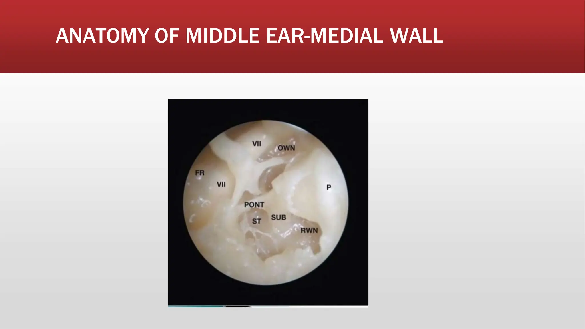 ANATOMY OF MID EAR and related structures.pptx