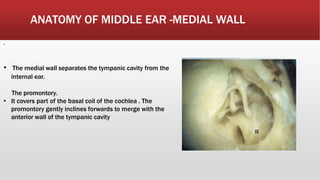 ANATOMY OF MID EAR and related structures.pptx