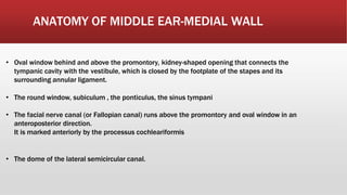 ANATOMY OF MID EAR and related structures.pptx