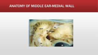 ANATOMY OF MID EAR and related structures.pptx