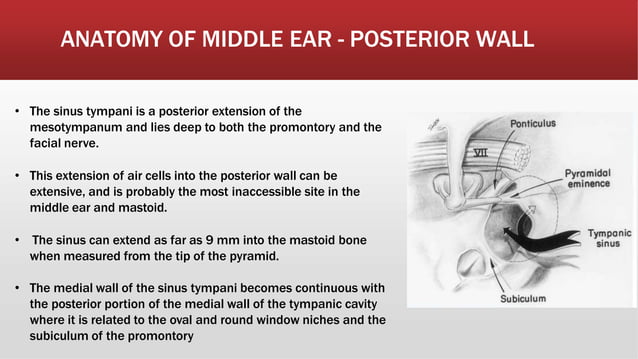 ANATOMY OF MID EAR and related structures.pptx