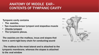 ANATOMY OF MID EAR and related structures.pptx