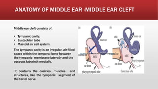ANATOMY OF MID EAR and related structures.pptx
