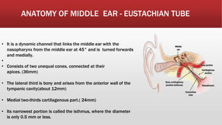 ANATOMY OF MID EAR and related structures.pptx
