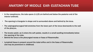 ANATOMY OF MID EAR and related structures.pptx