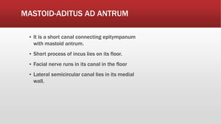 ANATOMY OF MID EAR and related structures.pptx