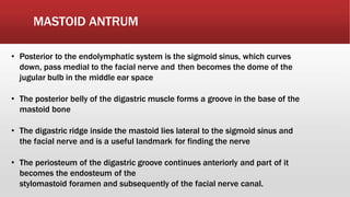 ANATOMY OF MID EAR and related structures.pptx