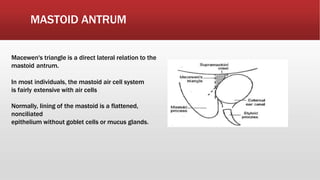 ANATOMY OF MID EAR and related structures.pptx